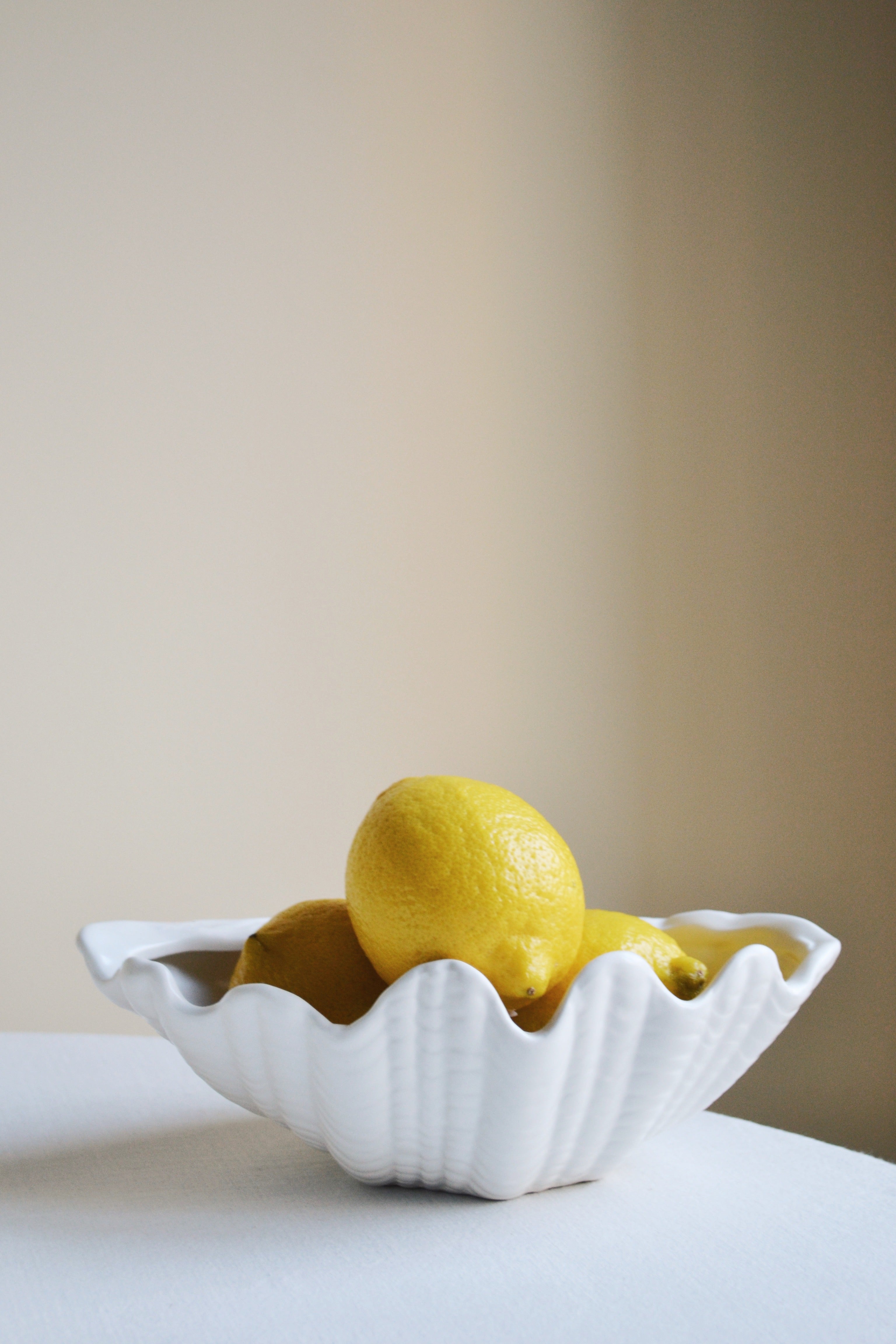White Clam Shell Bowl – Spicer and Wood